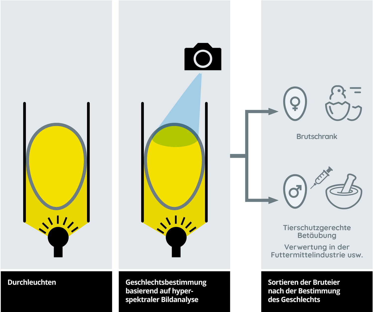 Ablauf der hyperspektralen Messtechnik